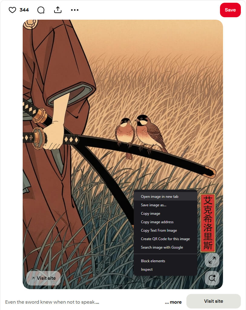 View and Save Full-Size Pinterest Images