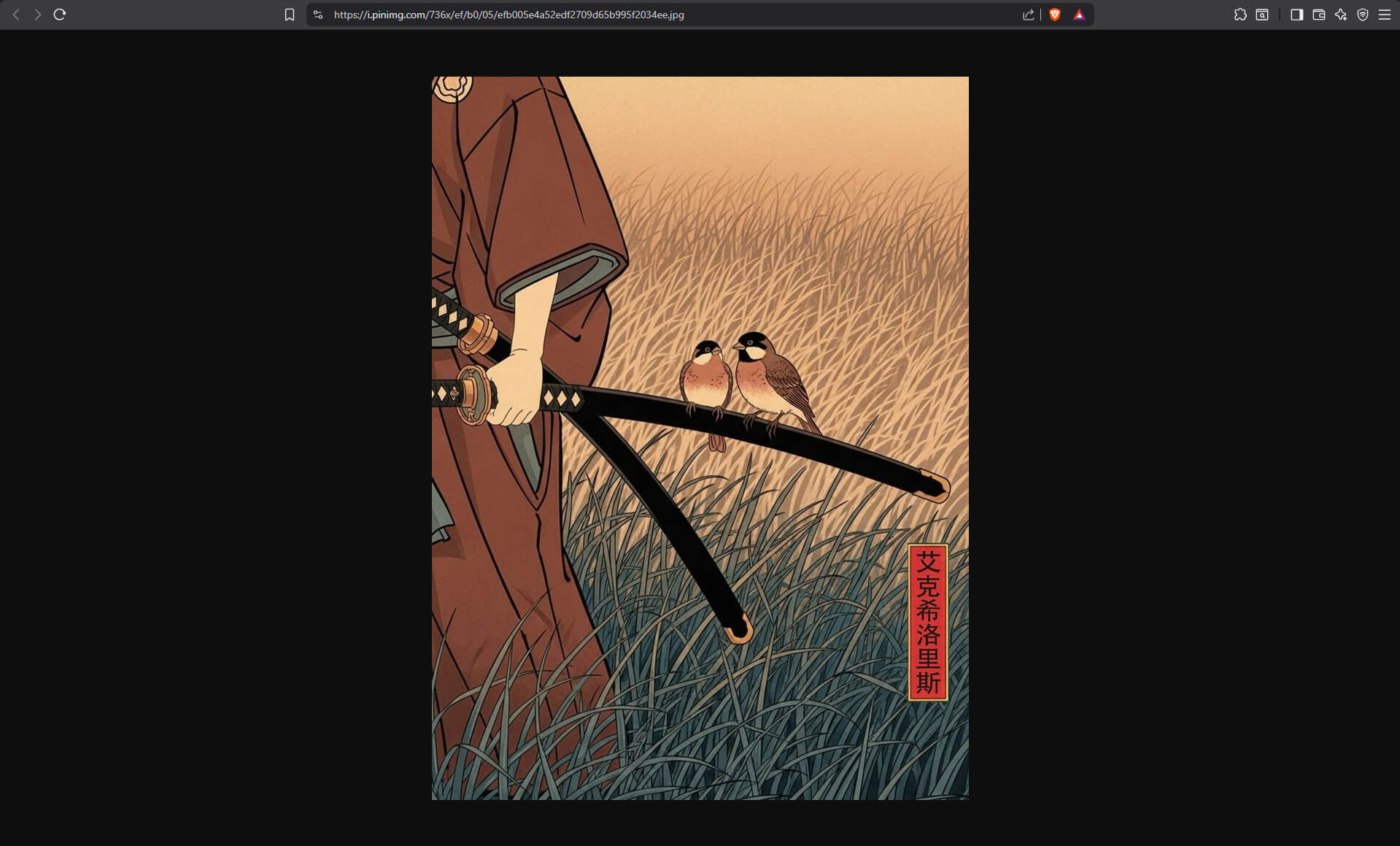 View and Save Full-Size Pinterest Images